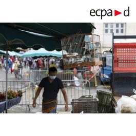 ImagesDéfense - Une picolette dans sa cage au marché de Cayenne, en ...