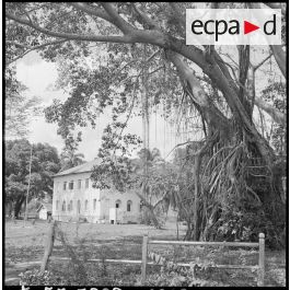ImagesDéfense - Bâtiment colonial sous un arbre banyan à Paksé.