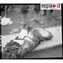 ImagesDéfense - Exhumation de cadavres sur le charnier de Langson.