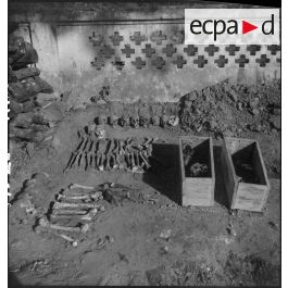 ImagesDéfense - Exhumation de cadavres sur le charnier de Langson.