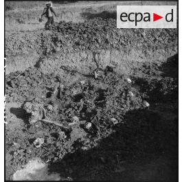 ImagesDéfense - Exhumation de cadavres sur le charnier de Langson.