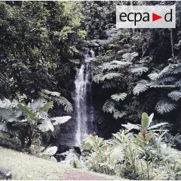 ImagesDéfense - Cascade.