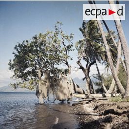 ImagesDéfense - Paysage littoral de Tahiti : des filets de pêche ...