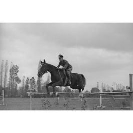 ImagesDéfense - Le commandant (Major) Rudolf Lippert et son cheval.