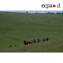 ImagesDéfense - Troupeau de chevaux dans la vallée de Lunca de Sus ...