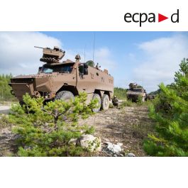 ImagesDéfense - Des véhicules blindés multi-rôles (VBMR) Griffon du 2e ...