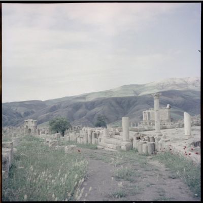 ImagesDéfense - Arche des ruines romaines de Djemila. Plan d'ensemble ...