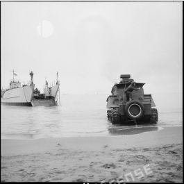 ImagesDéfense - Un char de débarquement Sherman modifié progresse sur ...