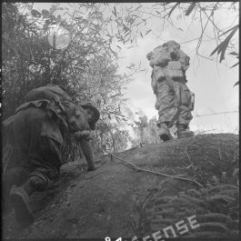 ImagesDéfense - Progression lente et difficile, parmi les lianes et les ...