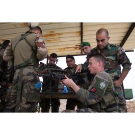 ImagesDéfense - Un fantassin de la section de reconnaissance et d ...