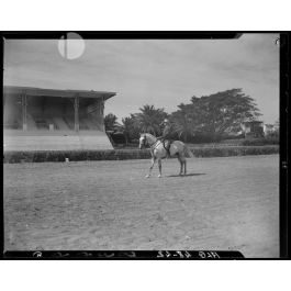 ImagesDéfense - Présentation d'un cheval et de son cavalier, lors d'un ...