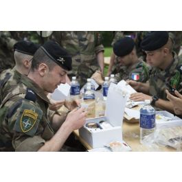 ImagesDéfense - Des soldats du 501e régiment de chars de combat (501e ...