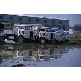 ImagesDéfense - Parc de véhicules au couleurs de l'ONU.