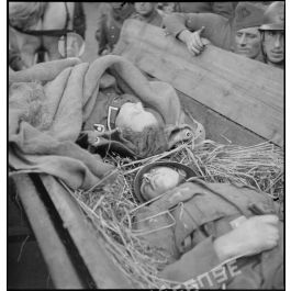 ImagesDéfense - Plans rapprochés de cadavres de soldats allemands ...