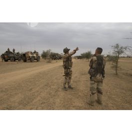 ImagesDéfense - Le chef de la section d'aide à l'engagement débarqué ...