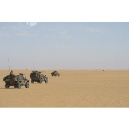 ImagesDéfense - Des véhicules blindés légers (VBL) du 1er régiment d ...