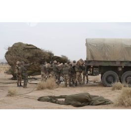 ImagesDéfense - Des marsouins du 1er régiment d'infanterie de marine ...