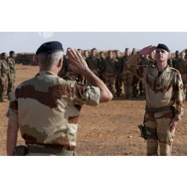 ImagesDéfense - Le colonel Bruno Bert, chef de corps du 92e régiment d ...