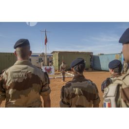 ImagesDéfense - Le colonel Gerald Friedrich du 14e régiment d ...