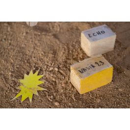 ImagesDéfense - Eléments figuratis pour un briefing sur caisse à sable ...