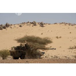 ImagesDéfense - Des marsouins du 1er régiment d'infanterie de marine ...