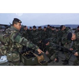 ImagesDéfense - Perception des équipements et de l'armement par une ...