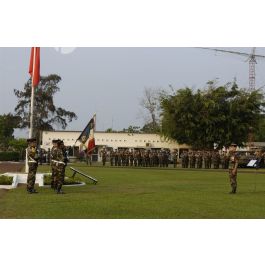 ImagesDéfense - Prise d'armes sur la place d'armes du 43e BIMa ...