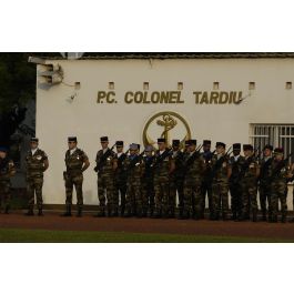 ImagesDéfense - Prise d'armes sur la place d'armes du 43e BIMa ...