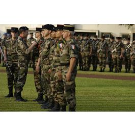 ImagesDéfense - Prise d'armes sur la place d'armes du 43e BIMa ...