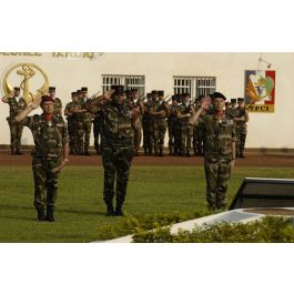 ImagesDéfense - Prise d'armes sur la place d'armes du 43e BIMa ...