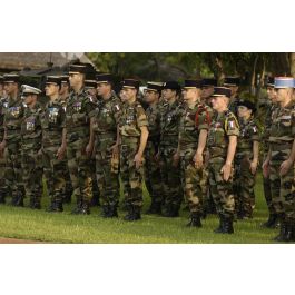 ImagesDéfense - Prise d'armes sur la place d'armes du 43e BIMa ...