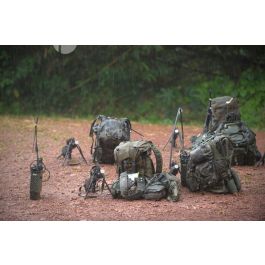 ImagesDéfense - Stage Jaguar au centre d'entraînement en forêt ...