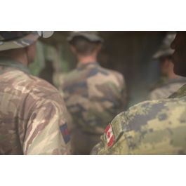 ImagesDéfense - Des stagiaires britanniques et canadiens suivent un ...