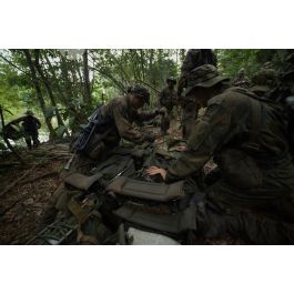 ImagesDéfense - Des stagiaires britanniques et allemands dénouent le ...