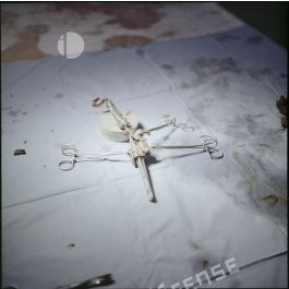 ImagesDéfense - Dissection d'un coeur.