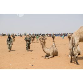 ImagesDéfense - Des combattants du groupe d’autodéfense touareg Imghad ...