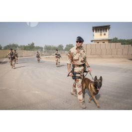 ImagesDéfense - Des fusiliers commandos de l'air patrouillent autour de ...