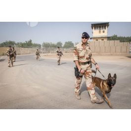 ImagesDéfense - Des fusiliers commandos de l'air patrouillent autour de ...