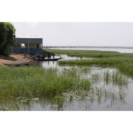 ImagesDéfense - Activités de pêcheurs à bord d'une pirogue sur une ...
