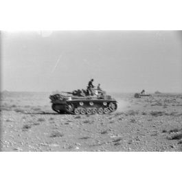 ImagesDéfense - Eléments du Panzer Regiment 8 (Pz.Rgt-8) en formation ...