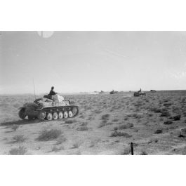 ImagesDéfense - Eléments du Panzer Regiment 8 (Pz.Rgt-8) en formation ...