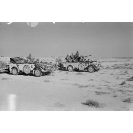 ImagesDéfense - La 15e division blindée allemande (15 Panzer-Division ...