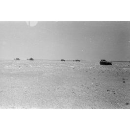 ImagesDéfense - Le Panzer Regiment 8 (Pz.Rgt-8), l'Artillerie Regiment ...