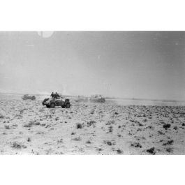 ImagesDéfense - Le Panzer Regiment 8 (Pz.Rgt-8), l'Artillerie Regiment ...