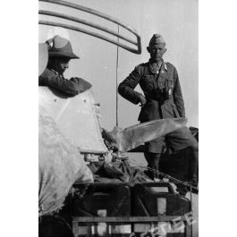 ImagesDéfense - La 15e division blindée allemande (15-Pz.Div.) pendant ...