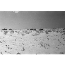 ImagesDéfense - Des éléments du Panzer-Regiment 8 (Pz.Rgt-8) en ...