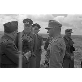 ImagesDéfense - Les généraux Cavarello, Crüwell, Fröhlich, Nehring ...