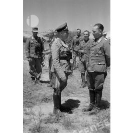 ImagesDéfense - Le maréchal (Generalfeldmarschall) Erwin Rommel en ...