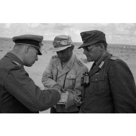 ImagesDéfense - Le maréchal (Generalfeldmarschall) Erwin Rommel remet ...