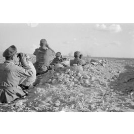 ImagesDéfense - Le maréchal (Generalfeldmarschall) Erwin Rommel ...